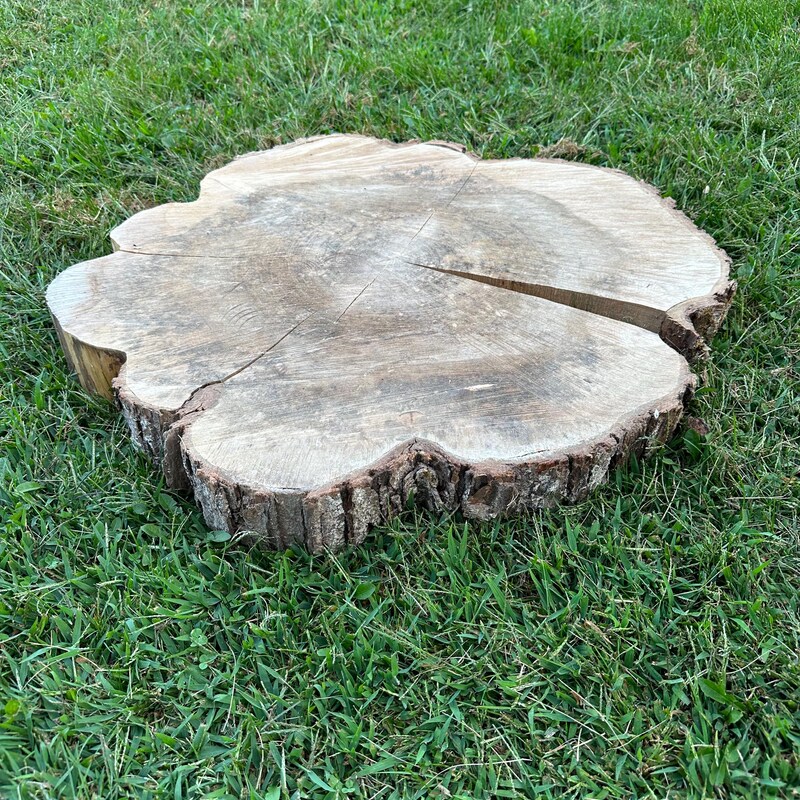 Large Wood Slices - Etsy