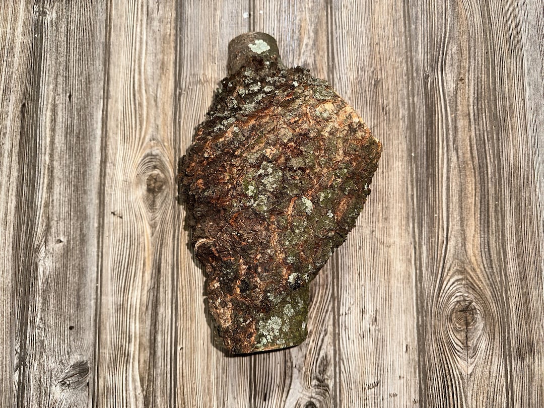 Burl, Cherry Burl Log, Approximately 15 Inches Long by 8 Inches Wide ...