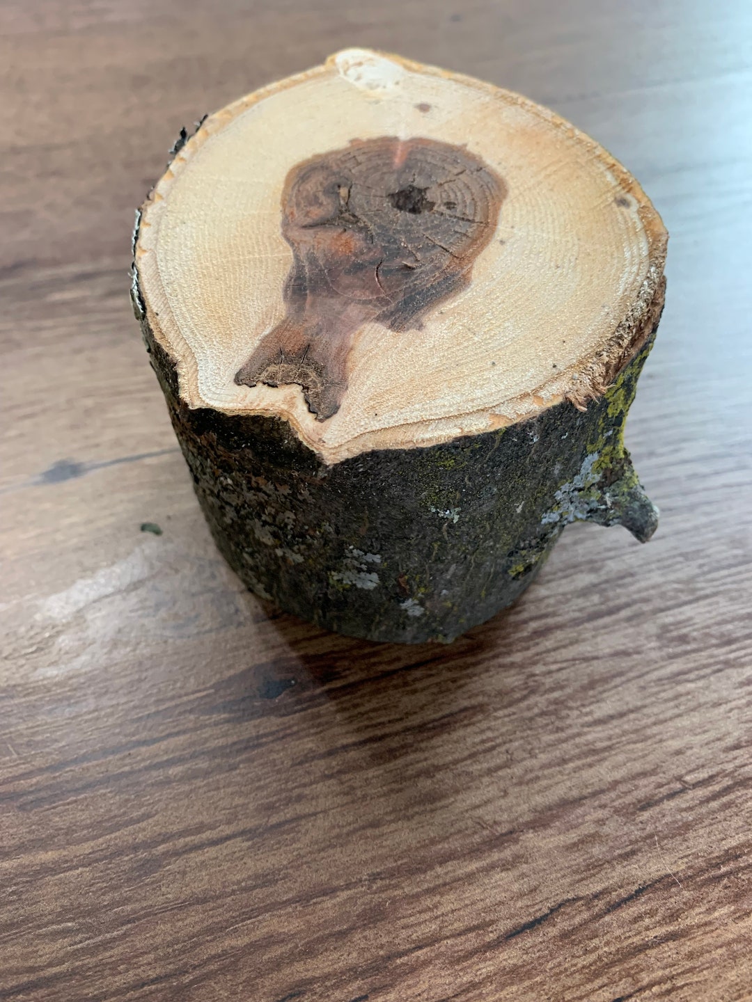 Hickory Burl Log, 3 Inches in Diameter, 2 Plus Inches Tall - Etsy