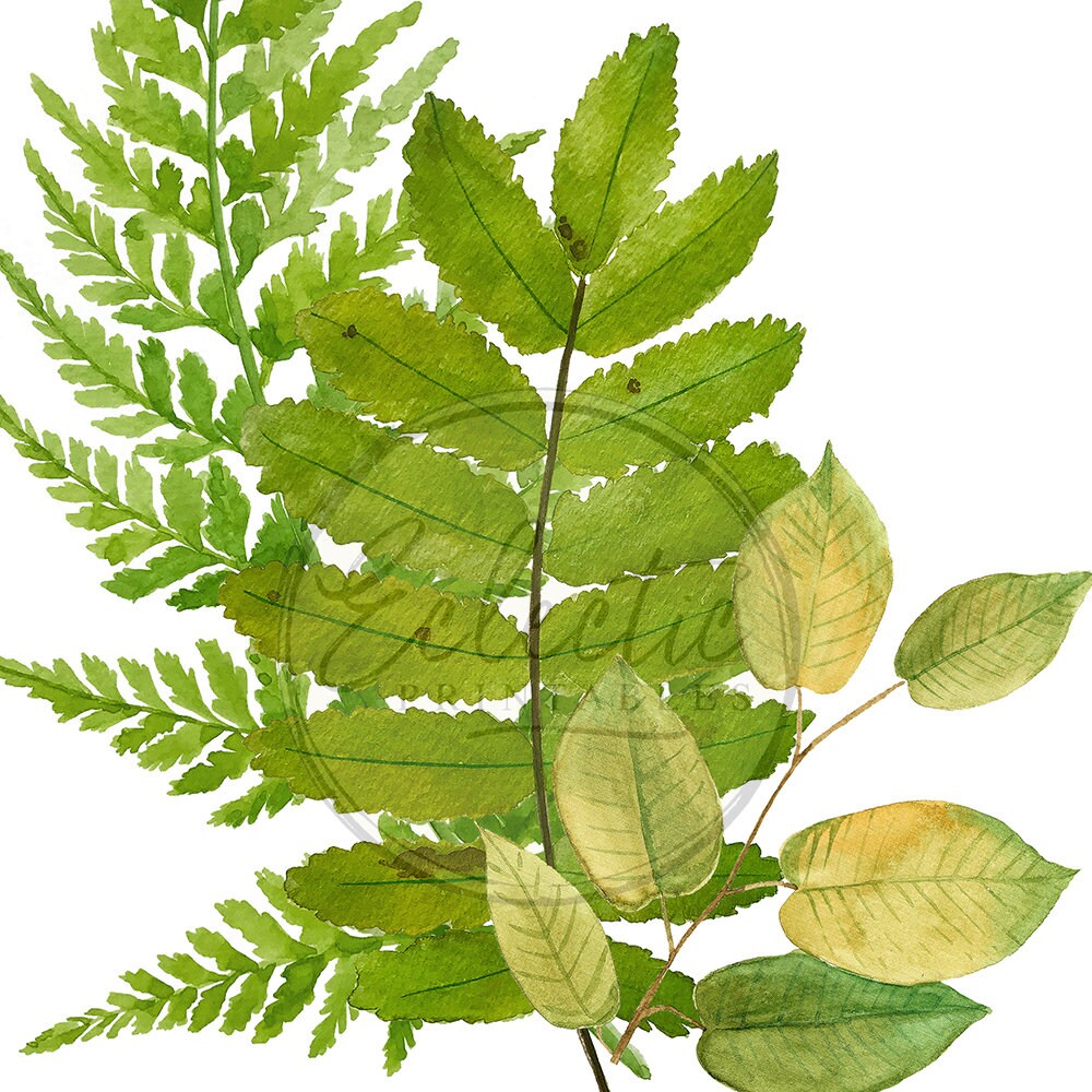 Greenery Prints Set of 2 Printable Greenery Wall Art Decor - Etsy