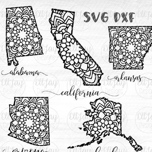50 States SVG, Mandala States Svg, Svg Bundle, 50 Designs, Fancy State ...