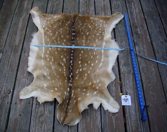 Axis deer hide | Etsy