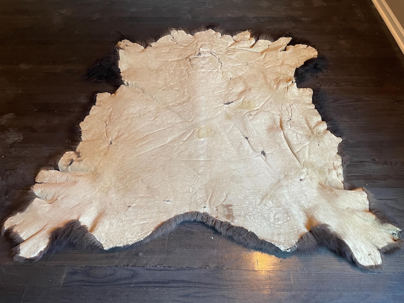 Western Large.tanned BISON/BUFFALO /skin/hide Log Cabin Hunting Lodge ...