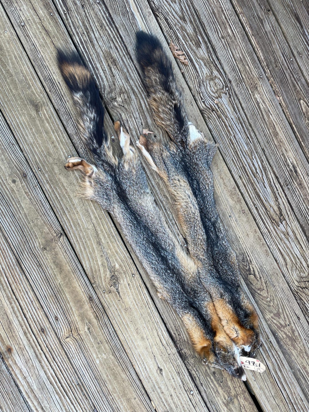 One - Beautiful XLG. GREY FOX Soft Tanned Fur/skin/hide/hunting Lodge ...