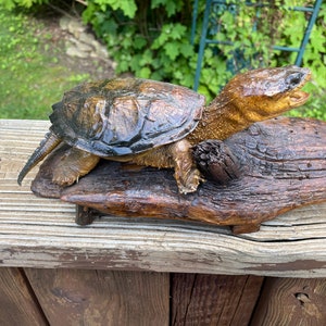 VERY Nice Smaller, New Snapping Turtle Lifesize Mount, Log Cabin ...
