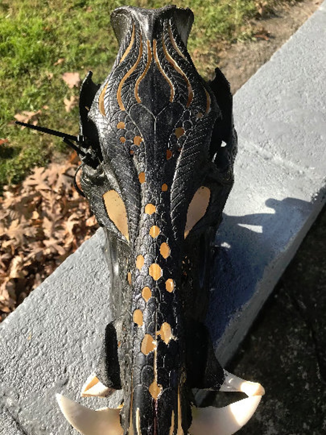 HUGE Carved/painted Wild Boar / Pig / Hog Skull Bone/ Taxidermy/hunting ...