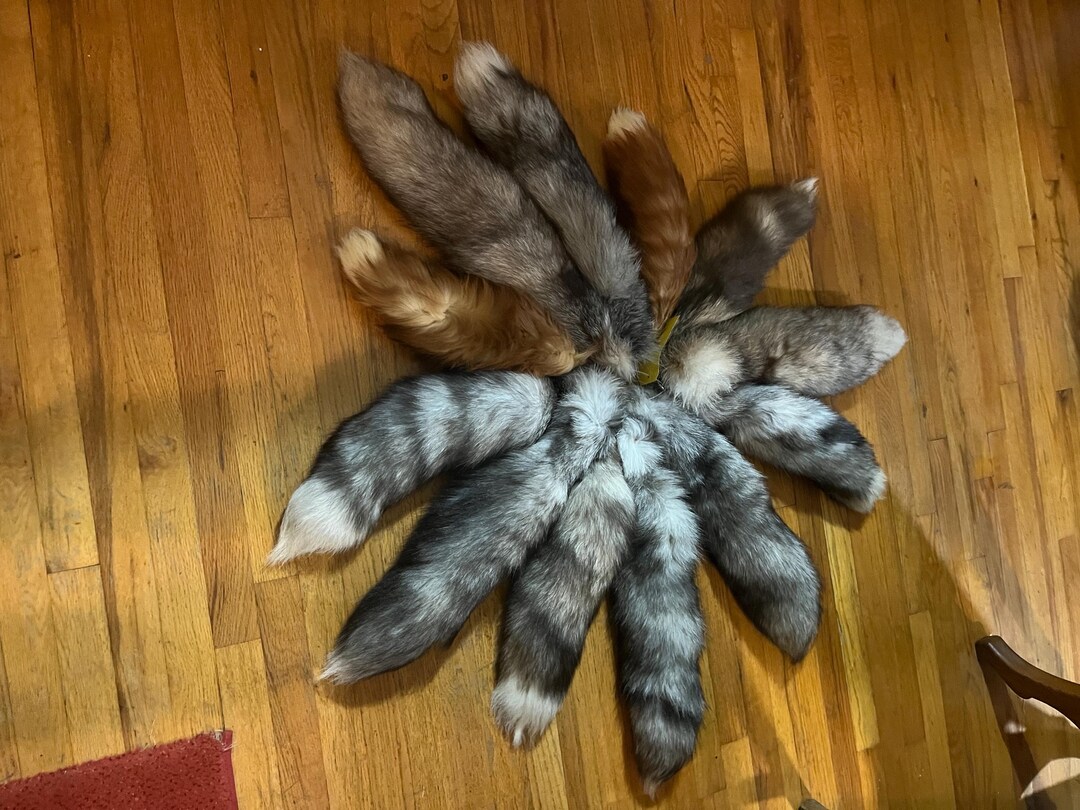 One ( 1 ) Beautiful, LARGE, Hybrid, Ranch RED FOX Tails, With Key Chain ...
