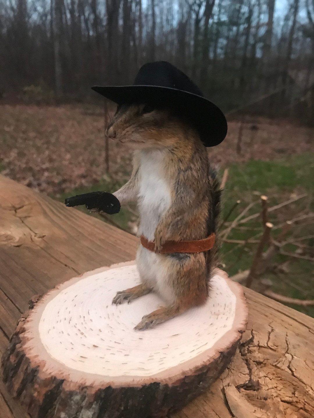 Taxidermy Very Nice new COWBOY CHIPMUNK Mount Log Cabin Hunting Lodge ...