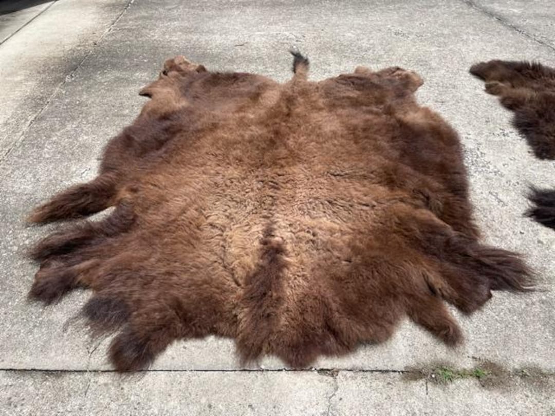 Western Large.tanned BISON/BUFFALO /skin/hide Log Cabin Hunting Lodge ...