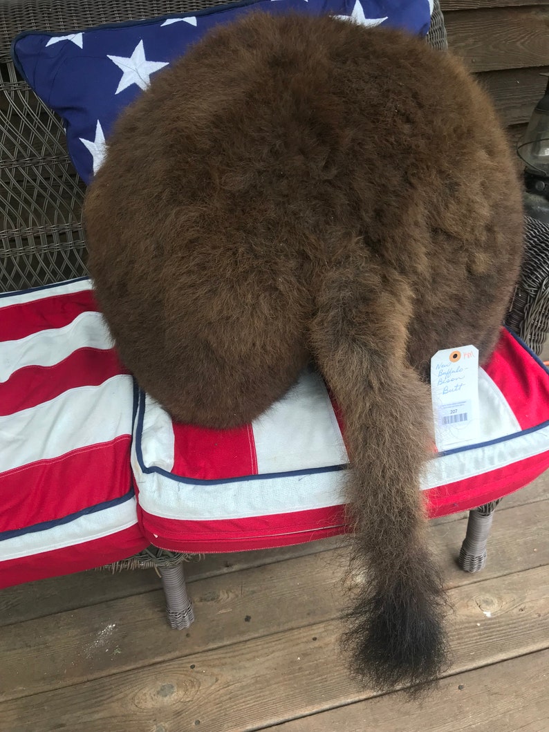 Western Xxlarge BISON/BUFFALO BUTT, Rear End Log Cabin Hunting Lodge ...