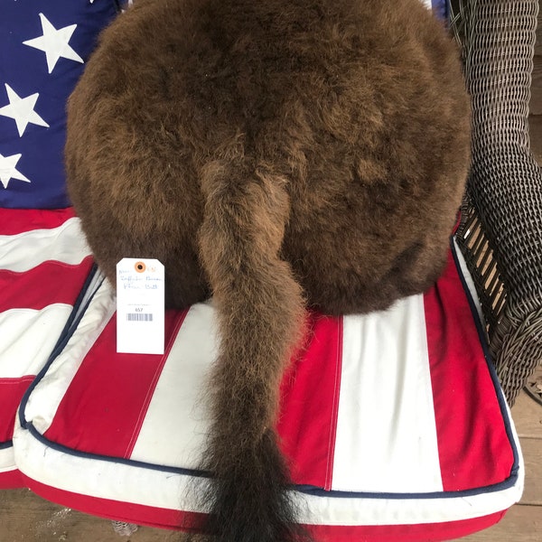 Shop Buffalo Hide Blanket - Etsy