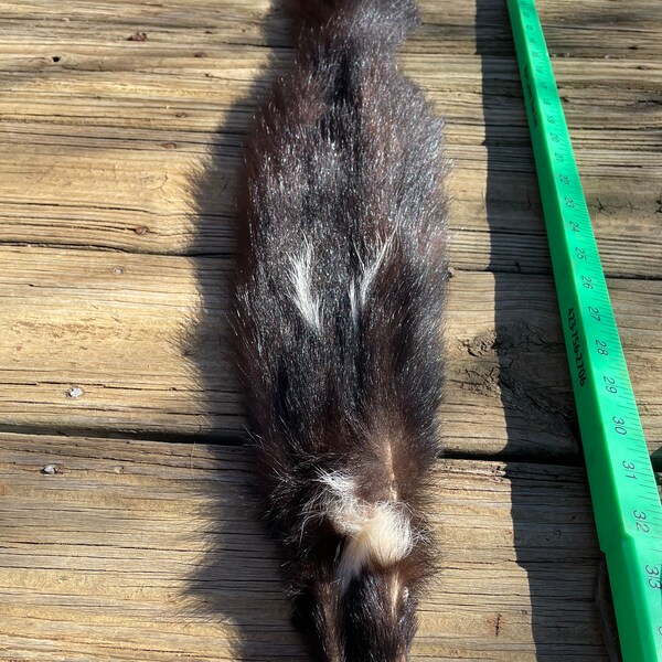 Skunk Fur - Etsy