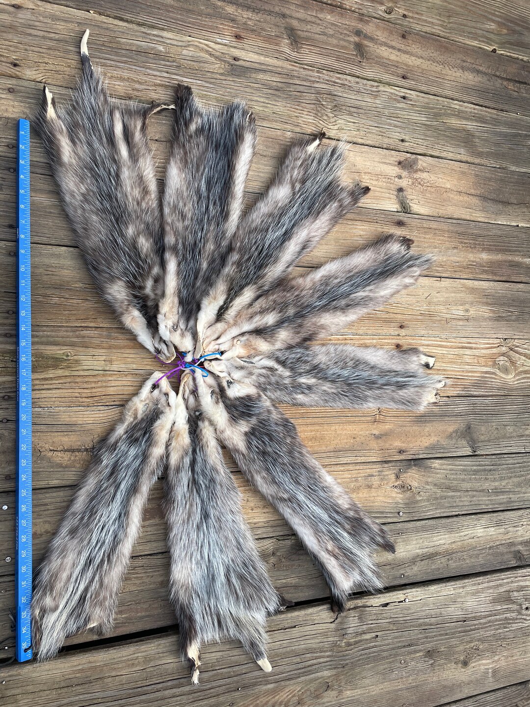 One, { 1 } Tanned O'POSSUM Skin,great Fur/hide,crafts,flytying ...