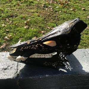 HUGE Carved/painted Wild Boar / Pig / Hog Skull Bone/ Taxidermy/hunting ...
