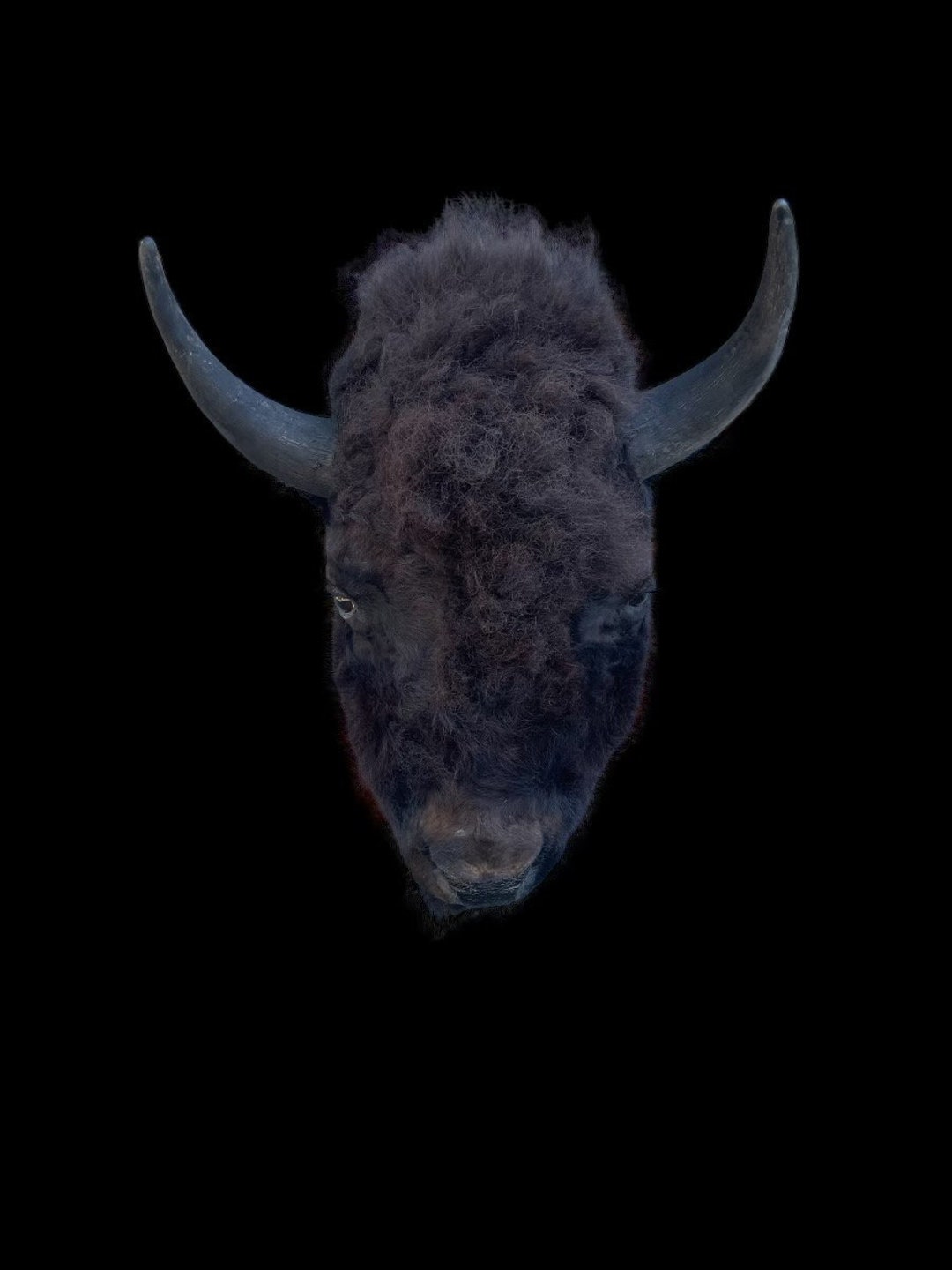 Western Decor, New Large BISON/BUFFALO Bull, Head Mount Log Cabin ...