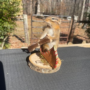 Taxidermy Beautiful Eastern CHIPMUNK Paddling in Canoe Log Cabin ...