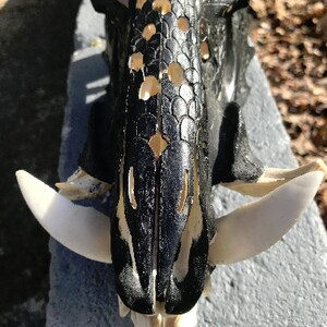 HUGE Carved/painted Wild Boar / Pig / Hog Skull Bone/ Taxidermy/hunting ...