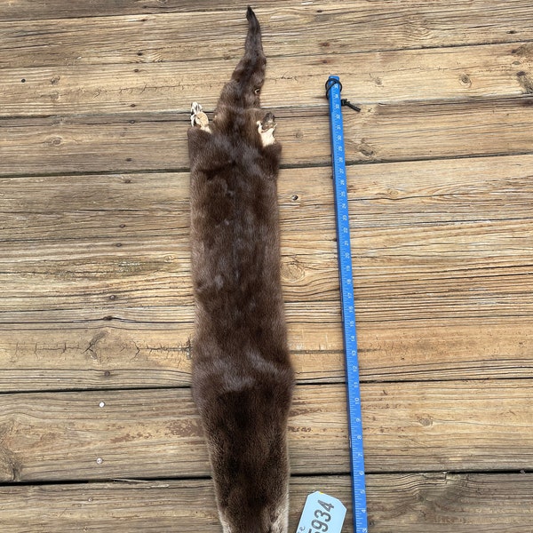 Otter Fur - Etsy