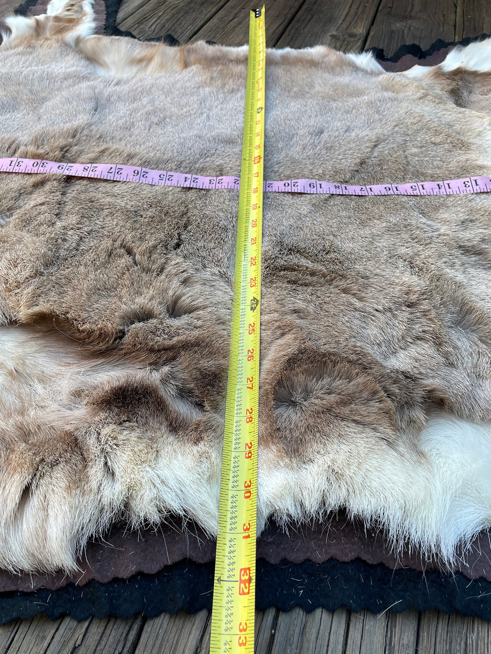 Rare Taxidermy BIGHORN SHEEP Ewe Double Felted Rug Complete | Etsy