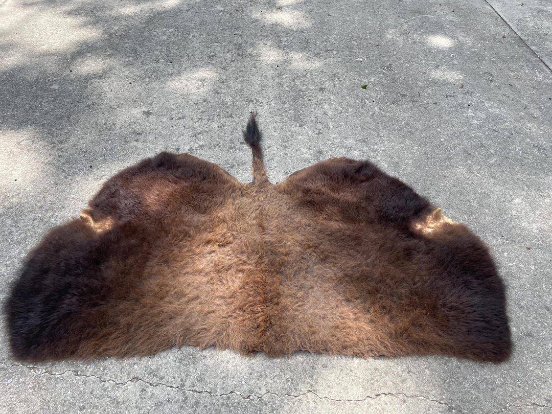 Western Large Tanned 1/2 BISON/BUFFALO /skin/hide Log Cabin Hunting ...