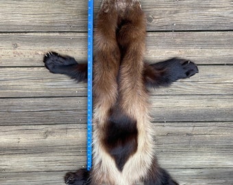 Wolverine Lifesize - Etsy