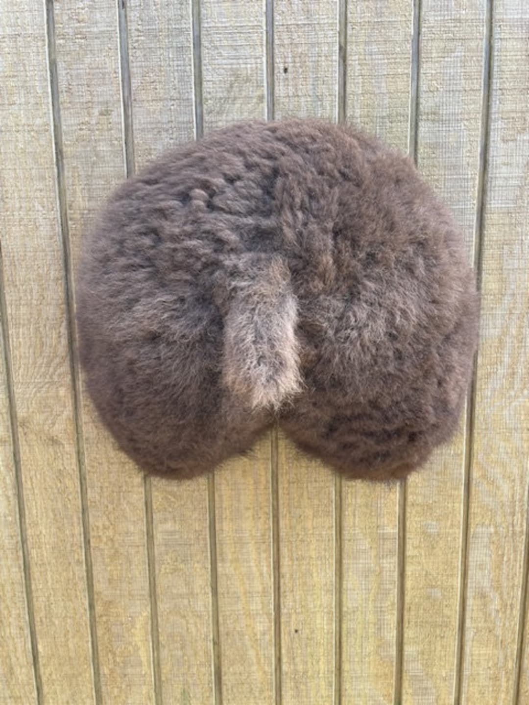 Western Xxlarge BISON/BUFFALO BUTT, Rear End With a Short Tail- Looks ...