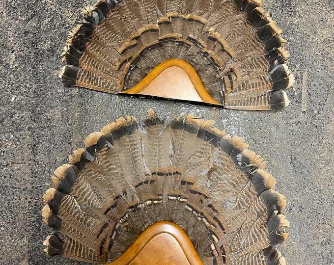 Two, Taxidermy, EASTERN WILD Turkey-tails/fan / Log Cabin/hunting Lodge ...