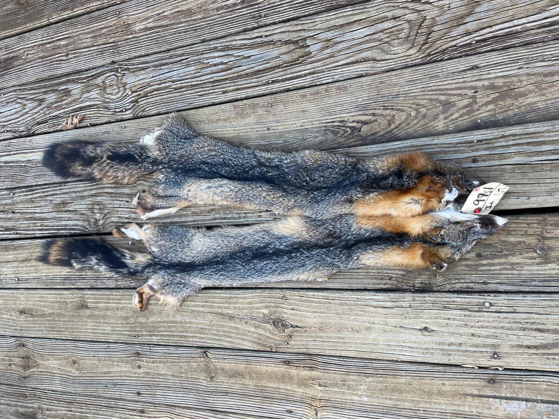 One - Beautiful XLG. GREY FOX Soft Tanned Fur/skin/hide/hunting Lodge ...