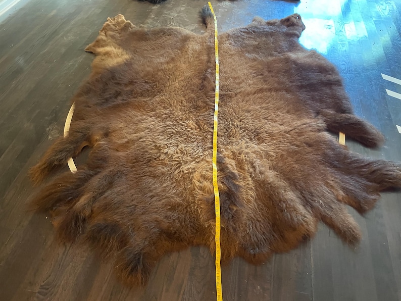 Western Large.tanned BISON/BUFFALO /skin/hide Log Cabin Hunting Lodge ...