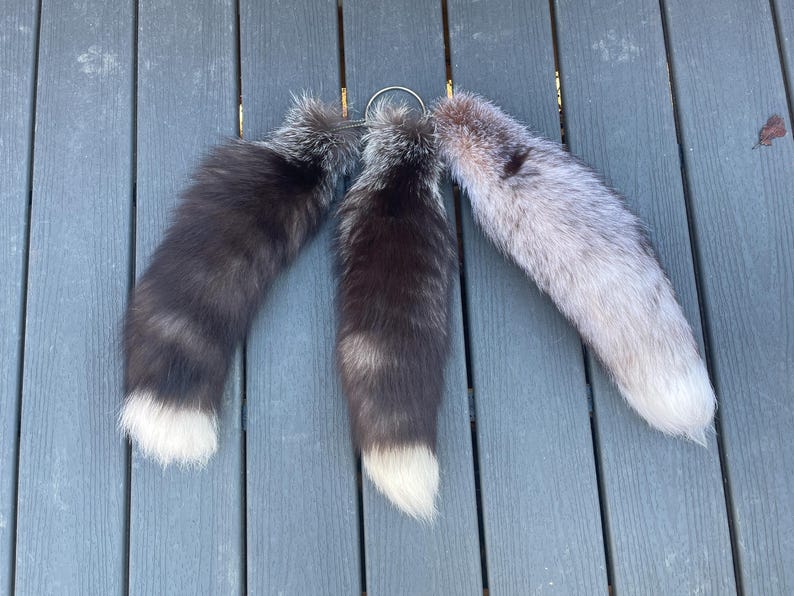 One ( 1 ) Beautiful, LARGE, Hybrid, Ranch RED FOX Tails, With Key Chain ...