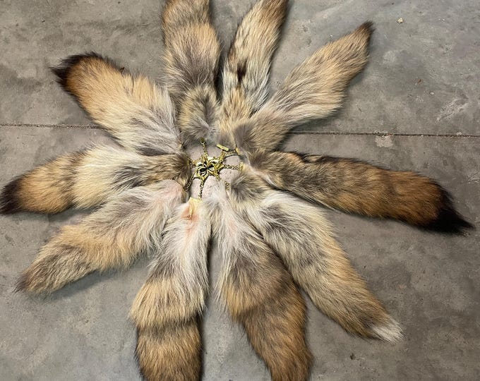 One ( 1 ) Beautiful, LARGE, COYOTE Tail -tails, With Golden Snap Key ...