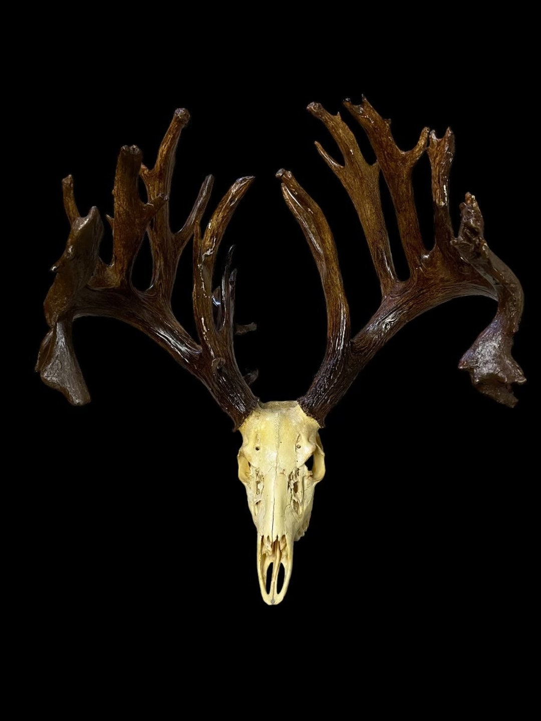 Monster 33 Point Nontypical Whitetail Deer Antlers-skull Big Club,drop ...