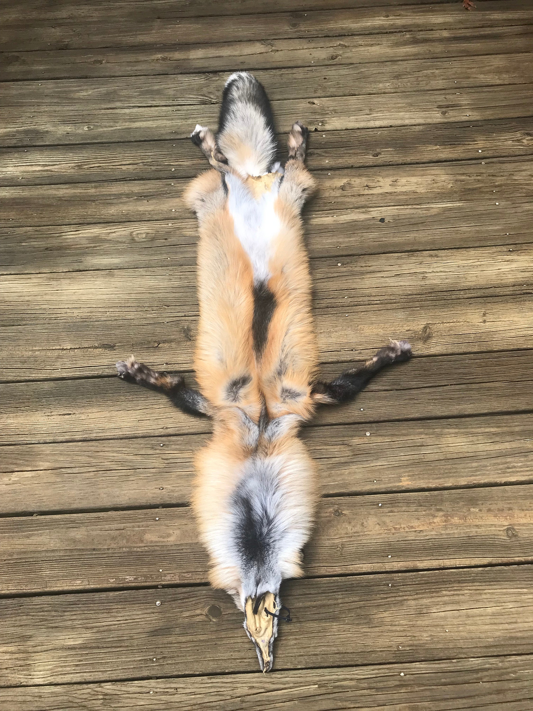 Beautiful Ranch RED FOX Lifesize Fkin/fur/hide /log Cabin | Etsy