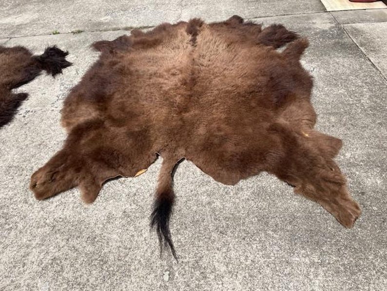 Western Large.tanned BISON/BUFFALO /skin/hide Log Cabin Hunting Lodge ...