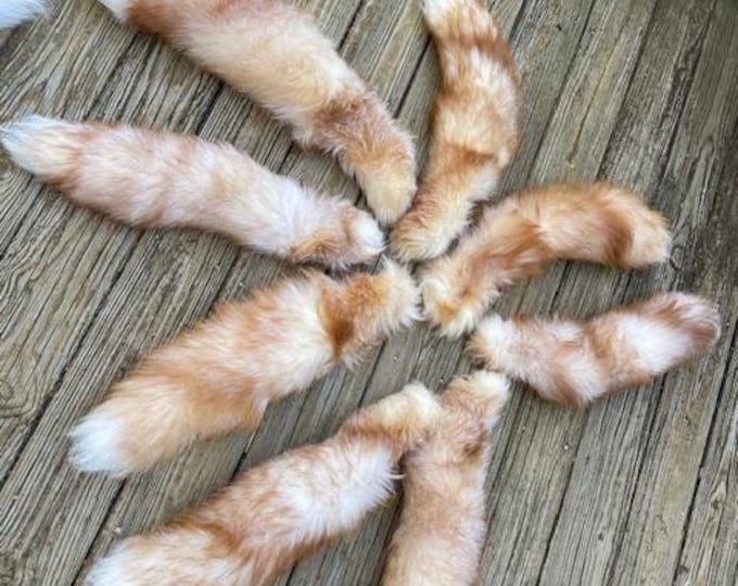 One ( 1 ) Beautiful, LARGE, Hybrid, Ranch RED FOX " Cinnamon" Tails ...