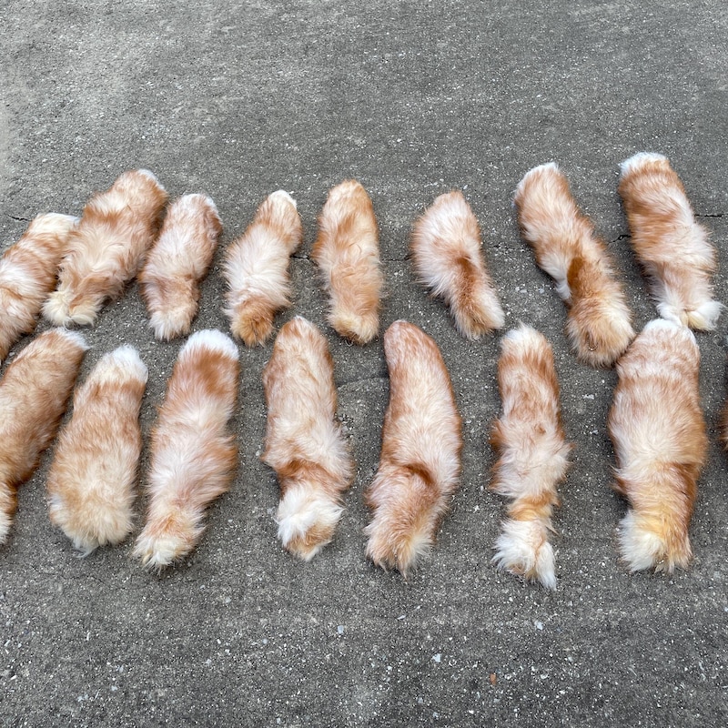 Real Fox Tails - Etsy