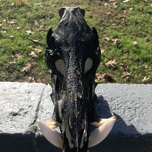 HUGE Carved/painted Wild Boar / Pig / Hog Skull Bone/ Taxidermy/hunting ...