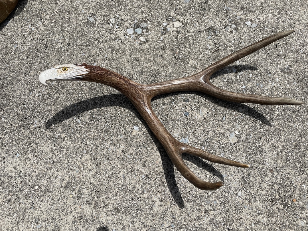 Mule Deer Antler Carving/bald Eagle Head/log Cabin/hunting Lodge Decor ...