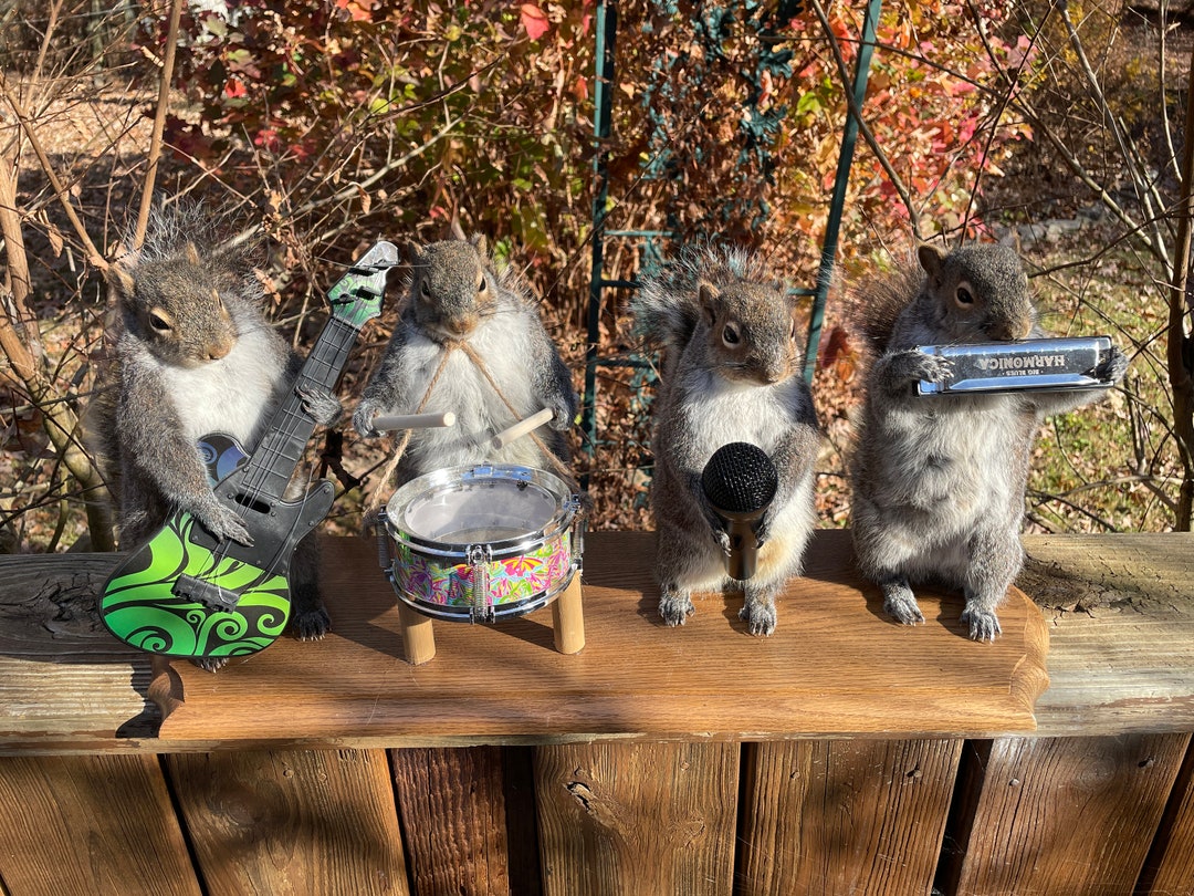 Taxidermy Very Nice,"new" Rock Star Music Playing Country Band, of GREY ...