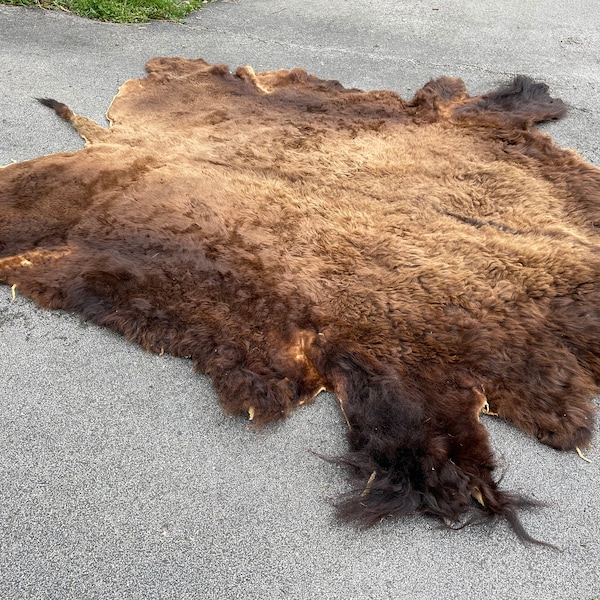 Buffalo Hide - Etsy