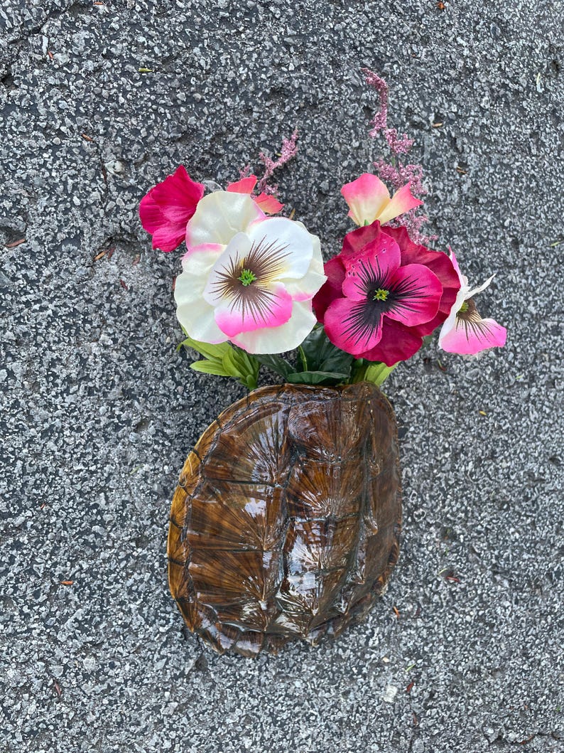 ONE {1} Awesome Taxidermy Common Snapping Turtle Shell - Flowers -log ...