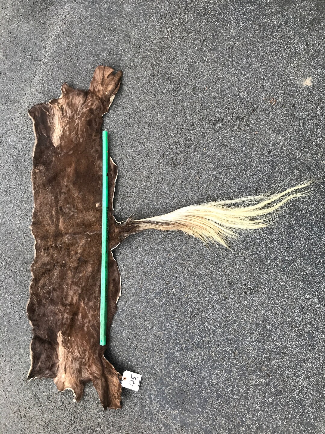 Tanned AFRICAN BLACK WILDEBEEST 1/2 Hide Taxidermy Africa Safari ...