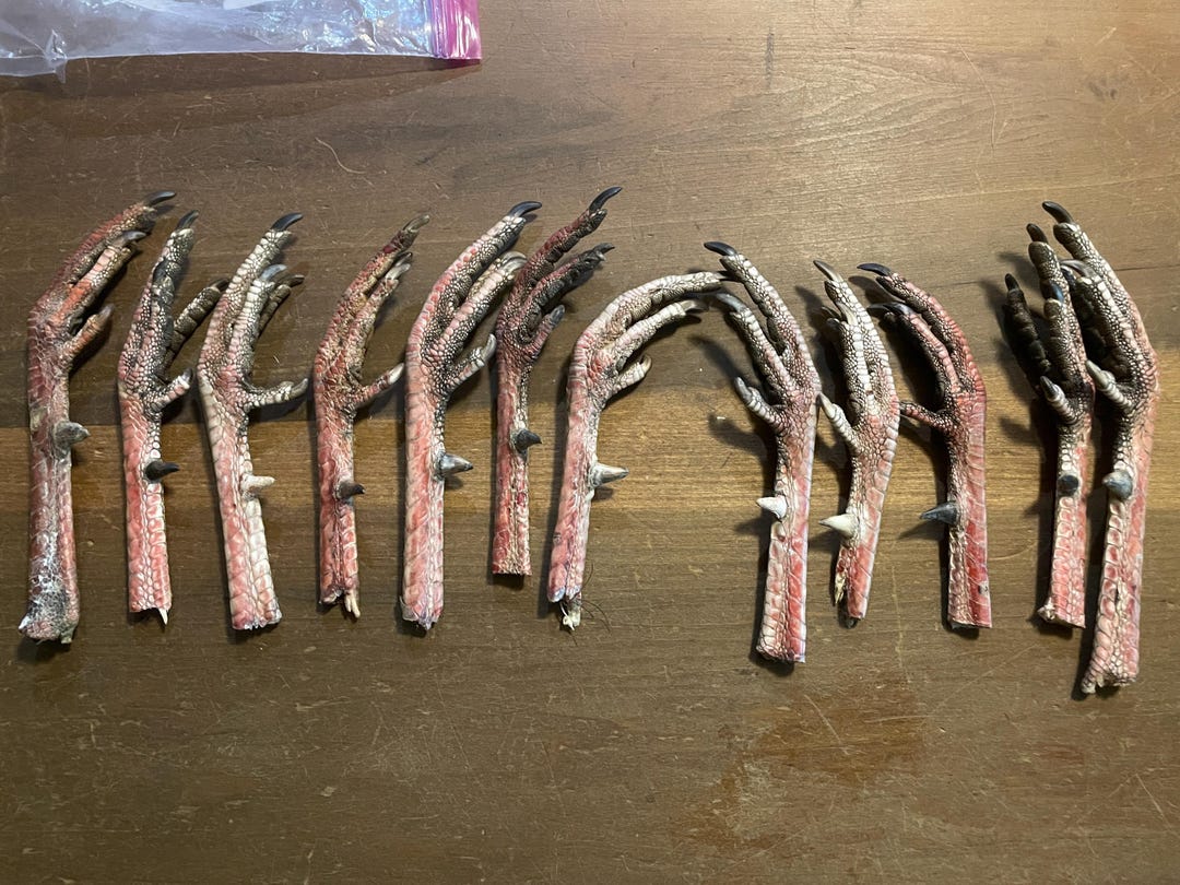 One Set of Two Taxidermy, EASTERN WILD Turkey-feet/spurs / Log Cabin ...