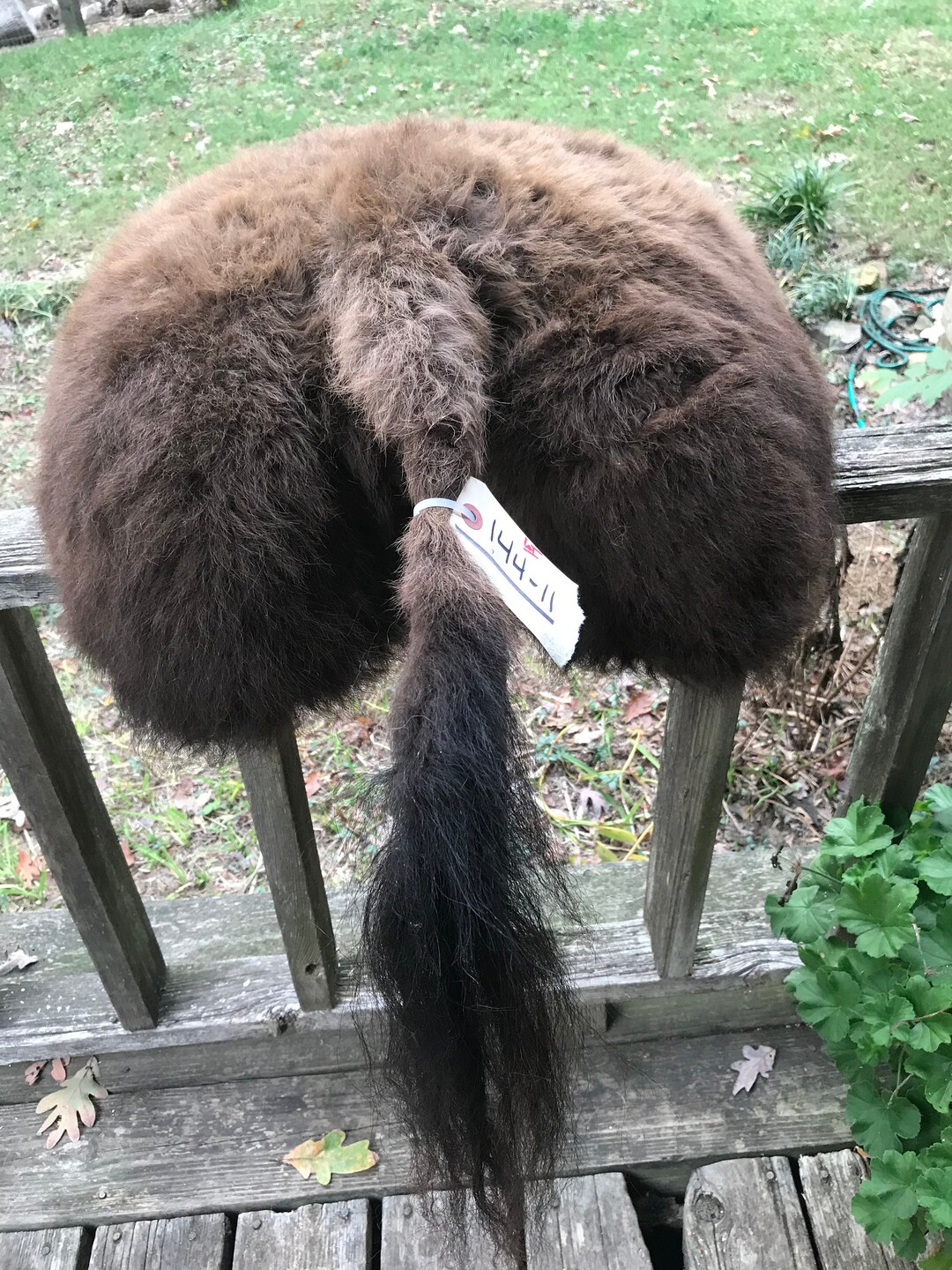 Western Xxlarge BISON/BUFFALO BUTT, Rear End Log Cabin Hunting Lodge ...