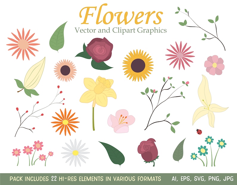 Flowers Clipart Set - Floral Clip Art Collection for Commercial or ...
