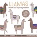 Llama Clipart Set, Hand Drawn Clip Art Illustrations of Llamas - Free ...