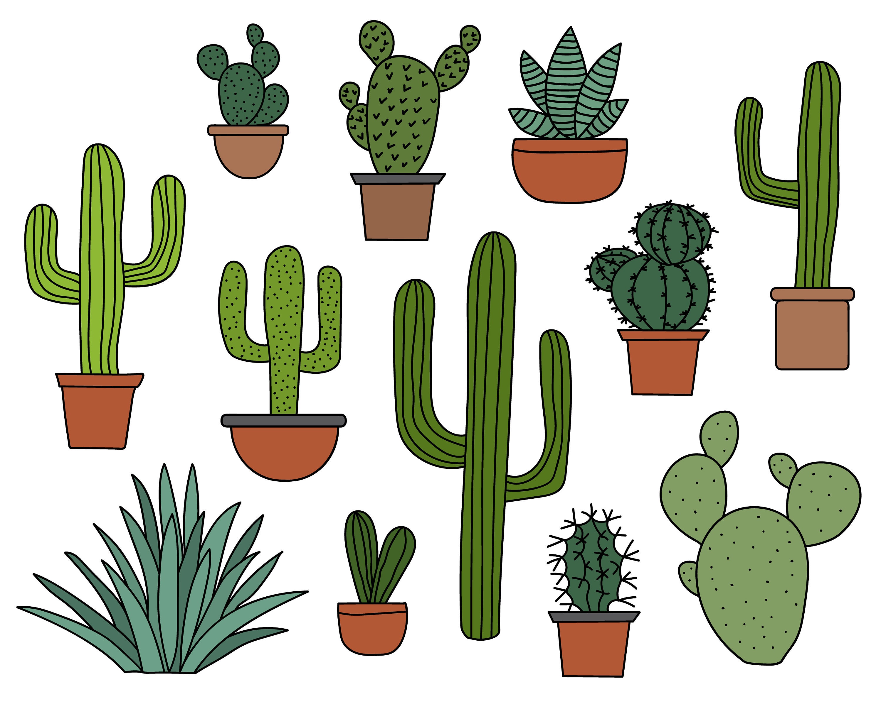Cactus Clipart Set Hand Drawn Clip Art Illustrations of | Etsy