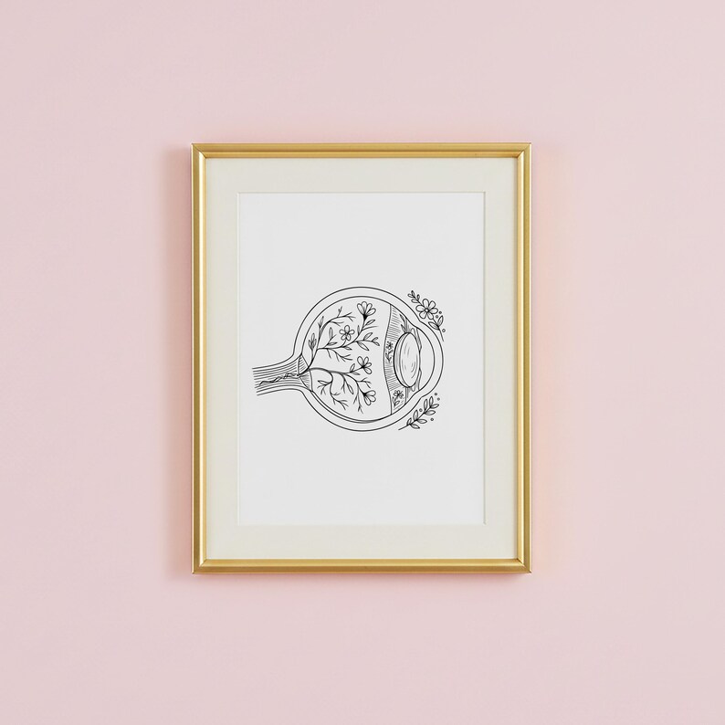 Floral Eyeball Anatomy Art Print: Optometrist Office Decor (digital ...