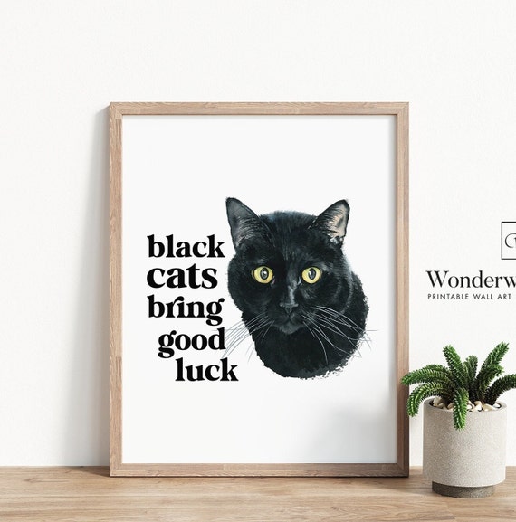 Inspirational Cat Poster