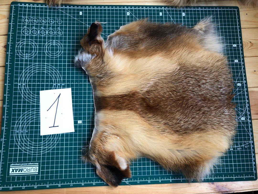 Fur Natural Fox Red Scrap Fur Red Fox Scraps Natural Fox Fur Fox Fur ...